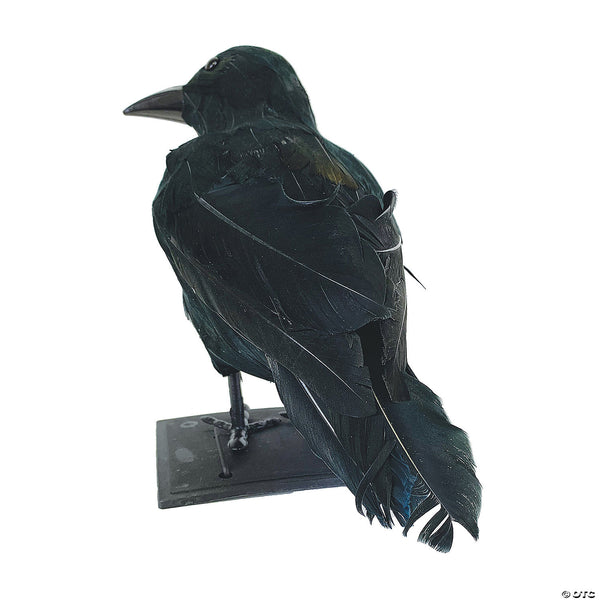 Black Feathered Raven Prop