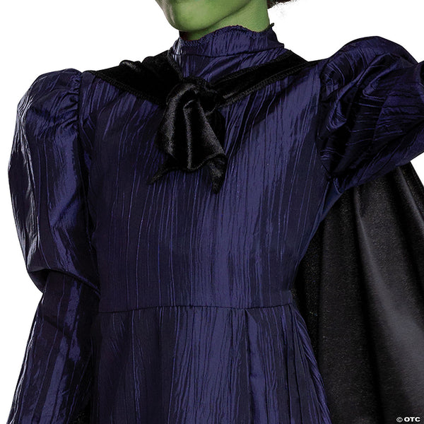 Girl’s Deluxe Wicked™ Elphaba Purple Dress Costume - Large 10-12